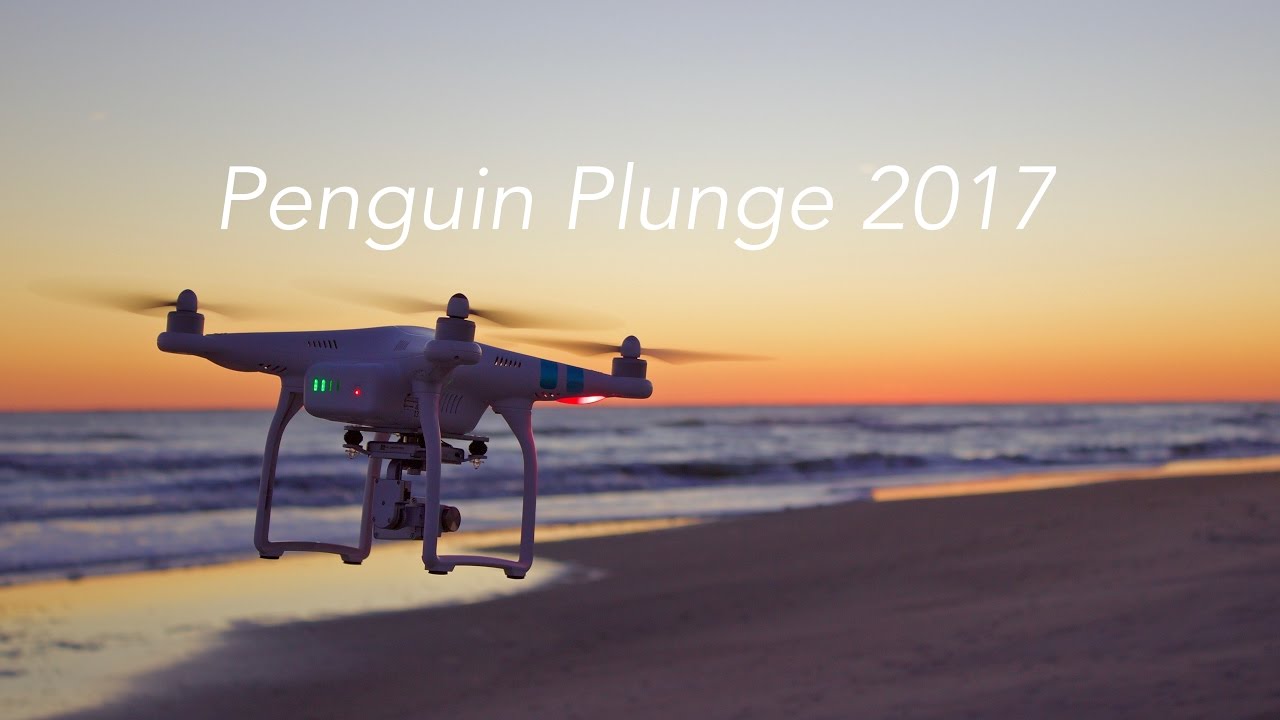 AB Penguin Plunge 2017 - YouTube