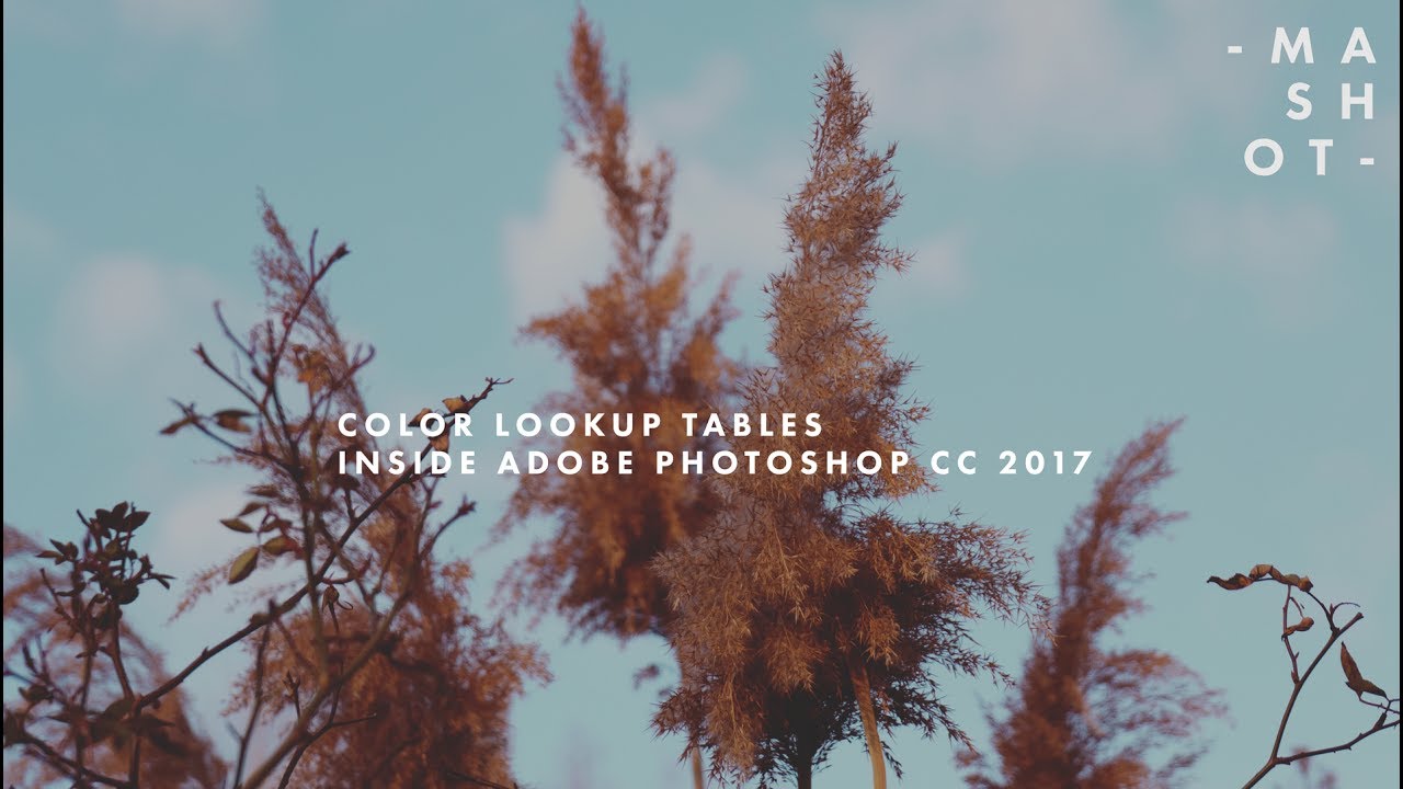 creating a color lookup table inside Photoshop CC - YouTube
