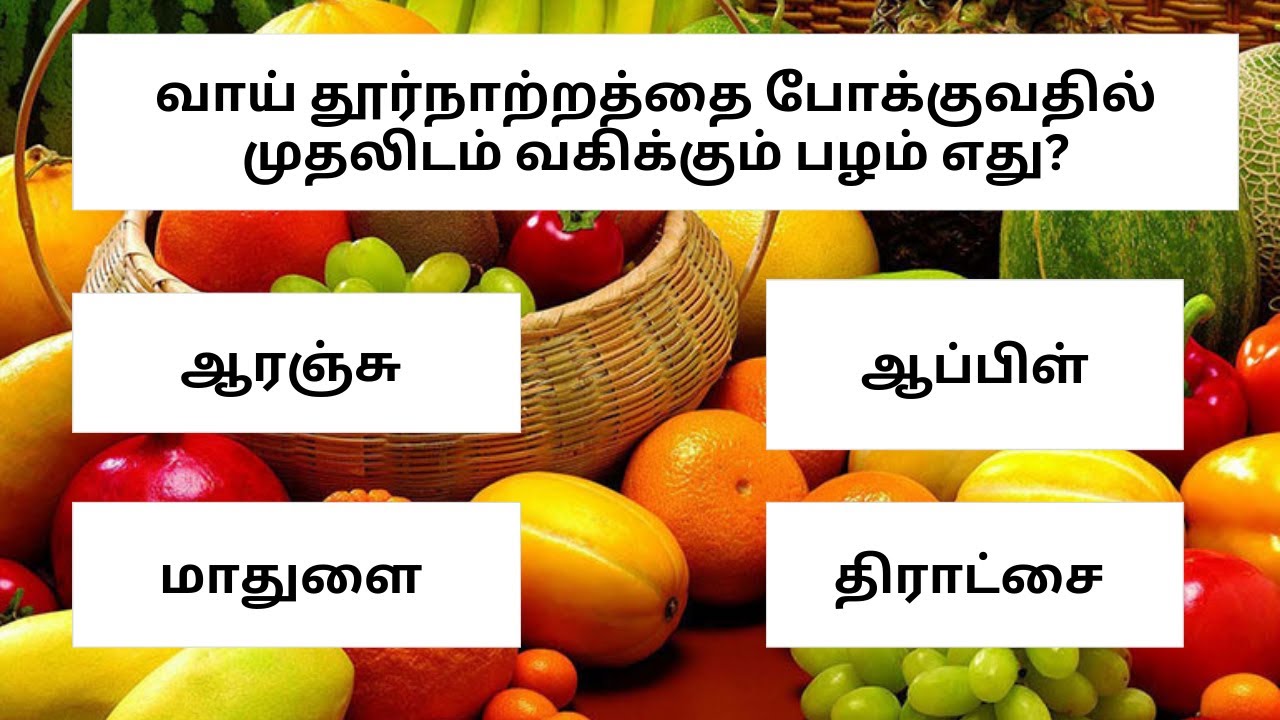 Amazing Questions And Answers In Tamil Tamil Gk General Knowledge amazing-questions-and-answers-in-tamil-tamil-gk-general-knowledge