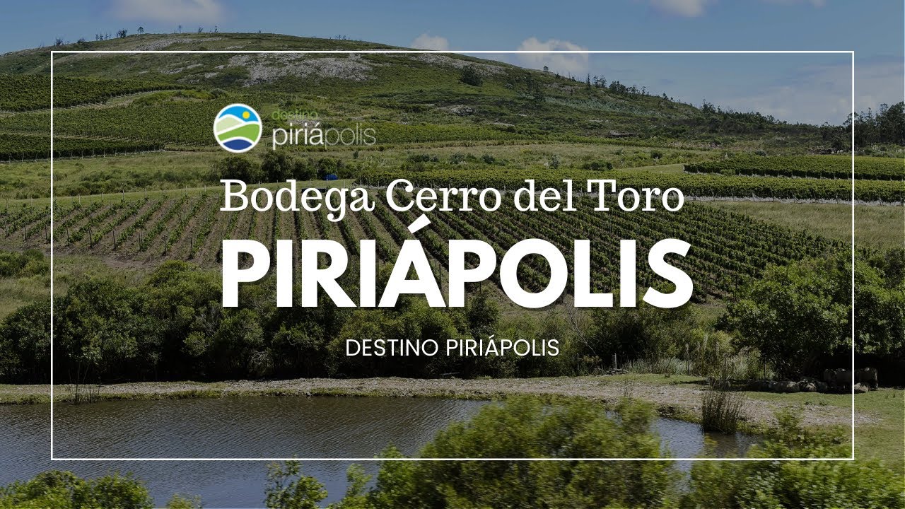 Bodega Cerro del Toro Piriápolis - YouTube