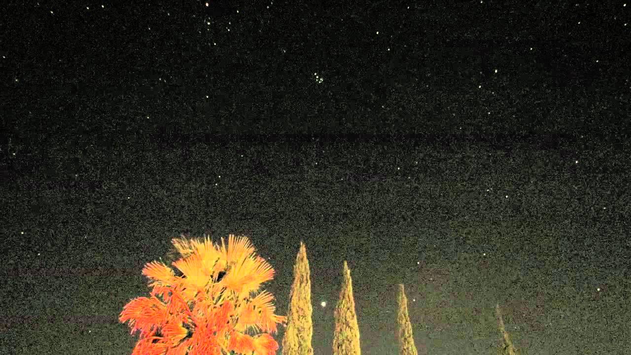 Stars & Trees - YouTube