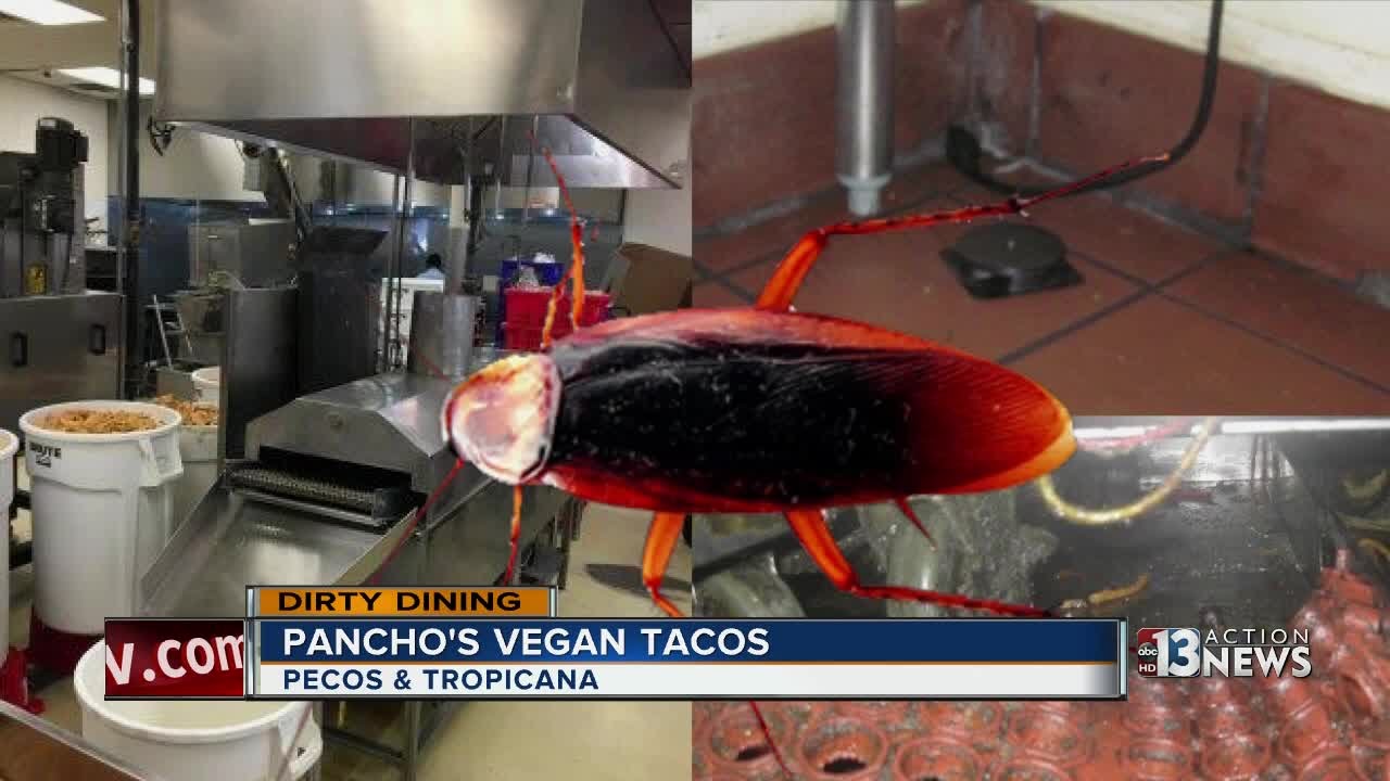 Roaches found everywhere inside Pancho's Vegan Tacos says Dirty Dining ...