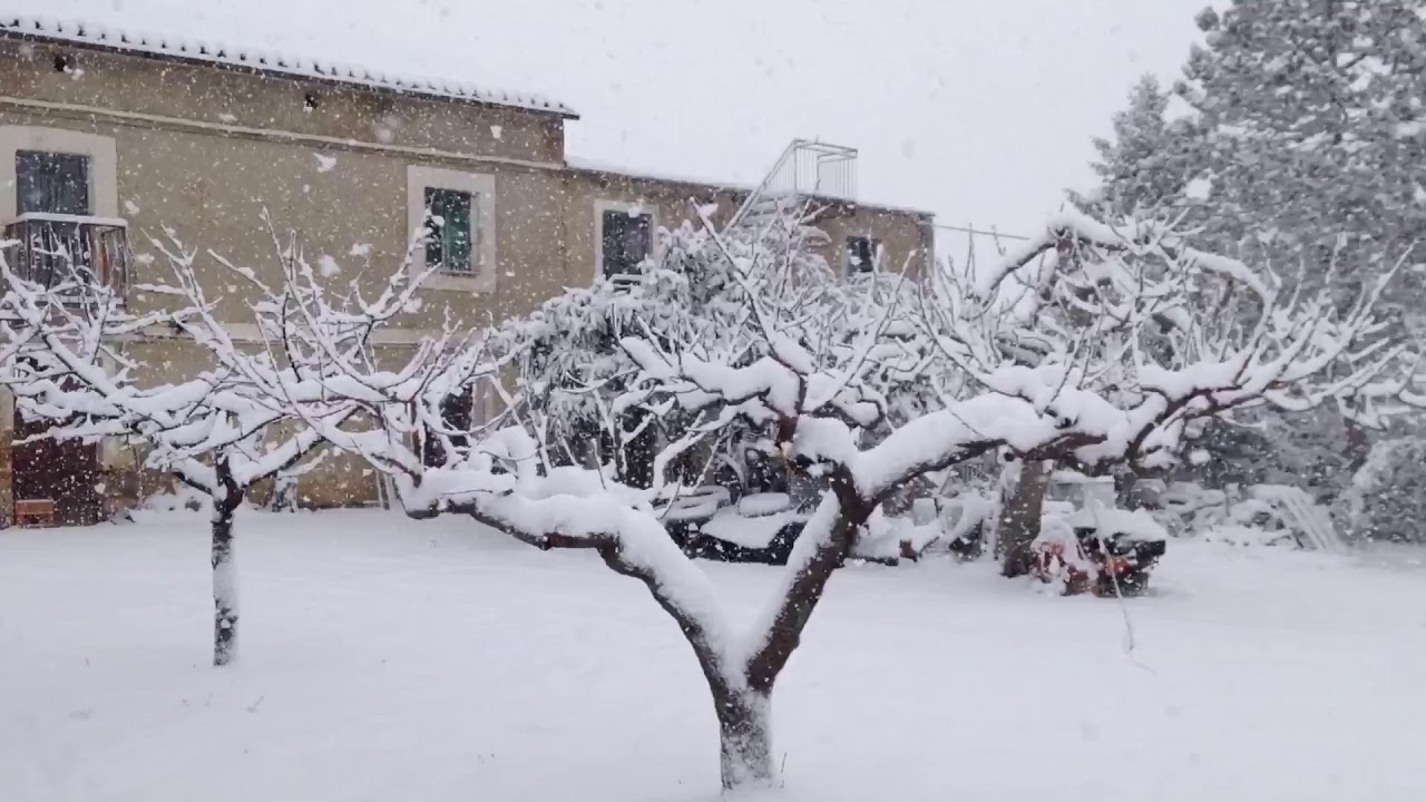 Neve Ari (Chieti) - c.da Pianagrande - 18 Gennaio 2016 *** Snow in Ari ...