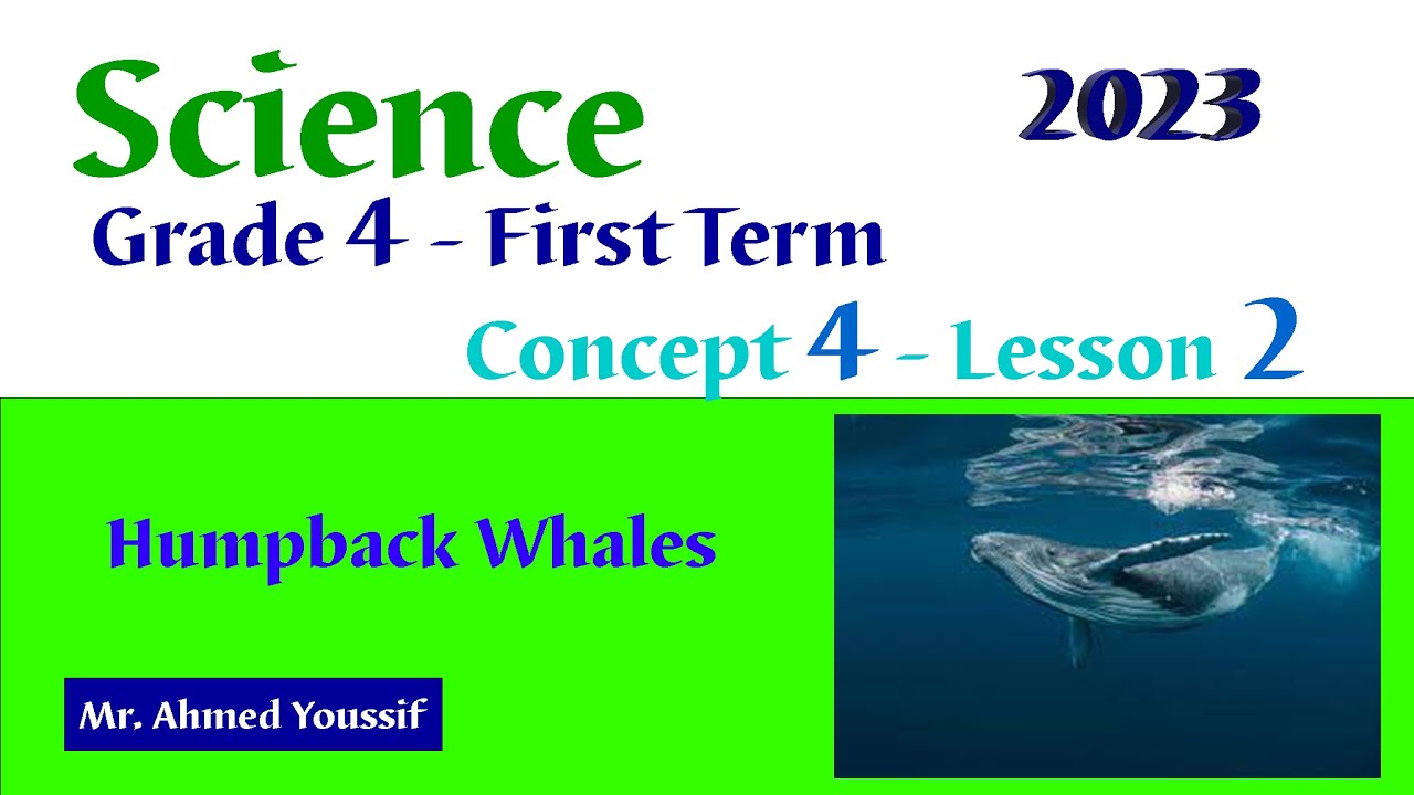 Science, Grade 4, Concept 4, Lesson 2, Humpback Whales - YouTube