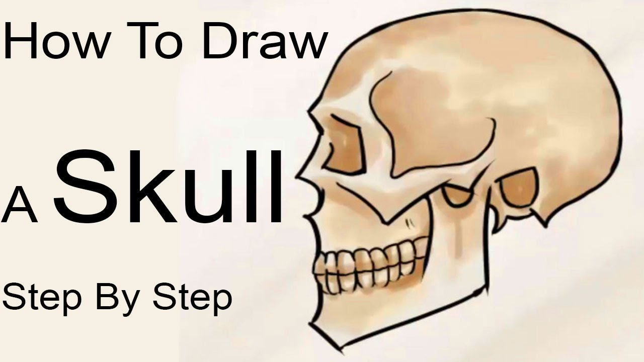 How To Draw A Skull Step By Step - YouTube