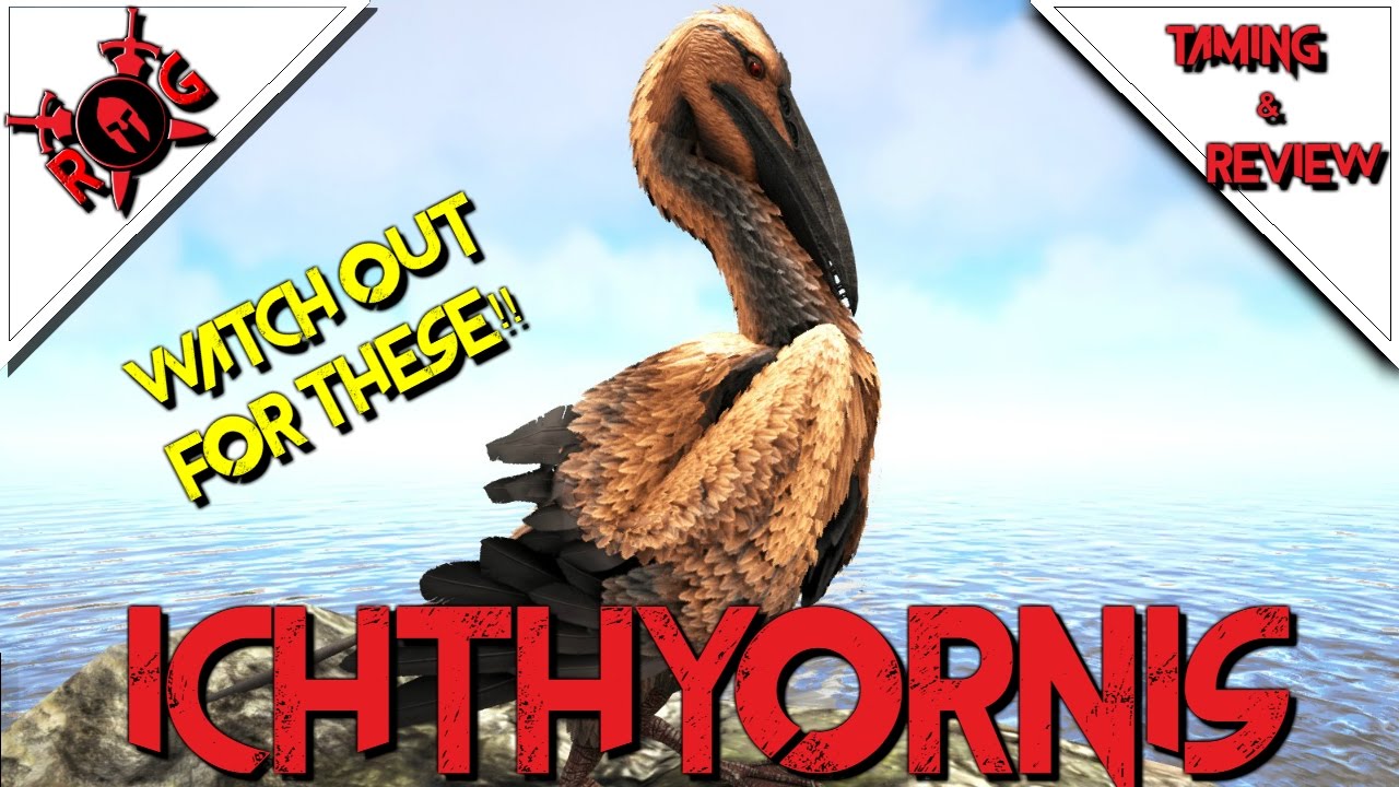 ARK: ICHTHYORNIS TAMING & REVIEW! Patch 256 - YouTube