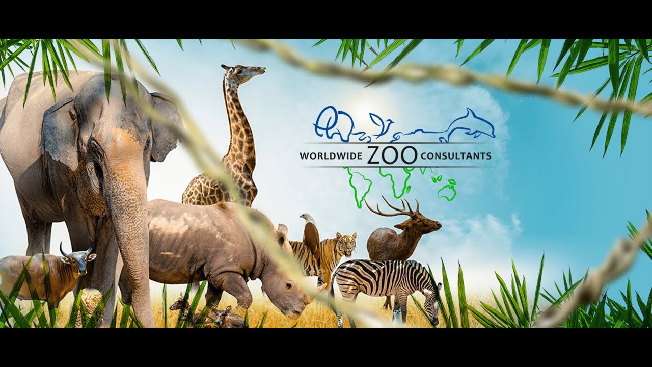 WorldWide Zoo Consultants: Where the Wild Meets Kingsmen's Production ...