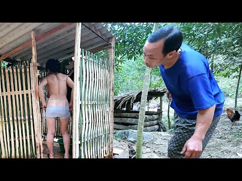 sow corn and grow cucumbers for python food - YouTube