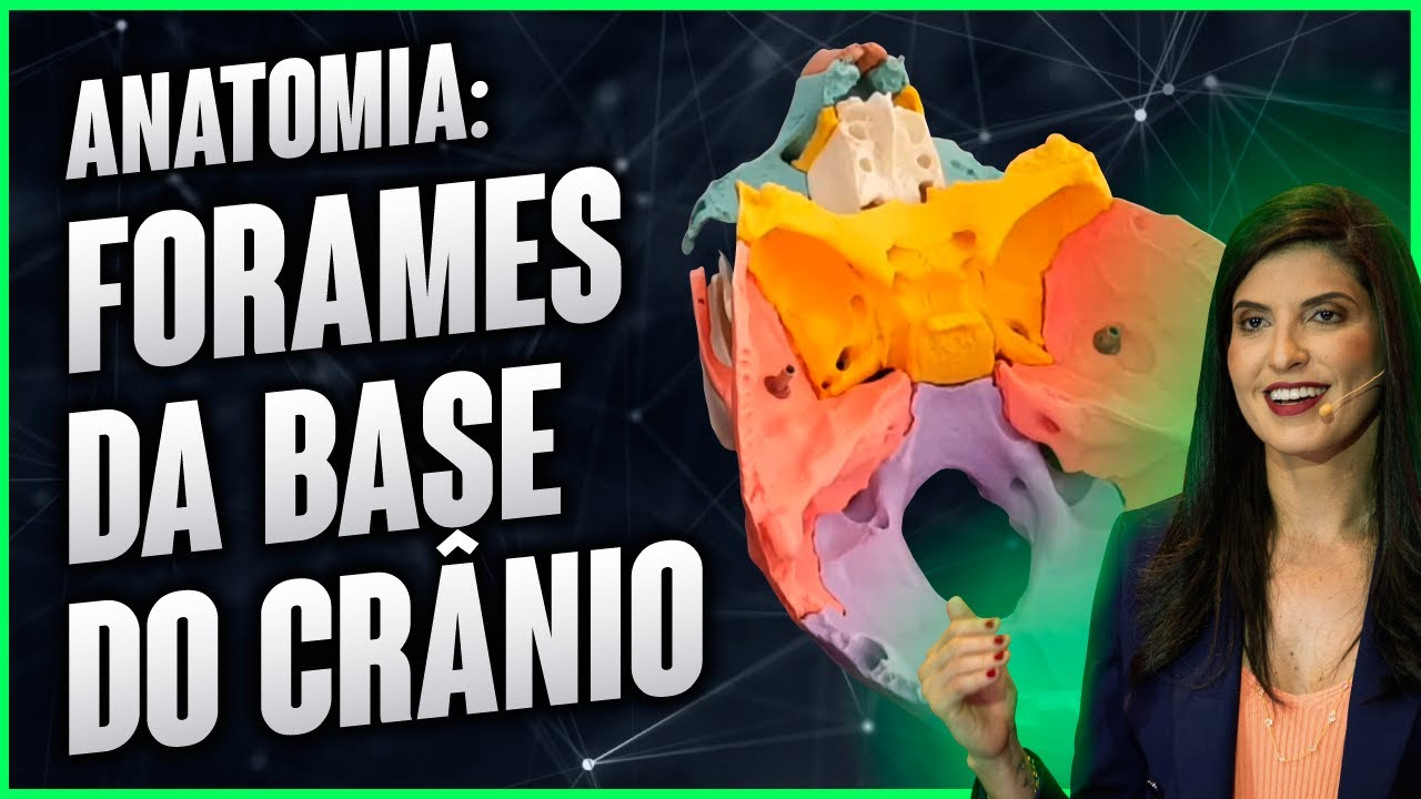 ANATOMIA: Forames da base do crânio por Dra Walkyria Fernandes - YouTube