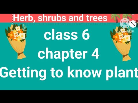 @Science-study277 different type of plants. herbs, shrubs and trees ...