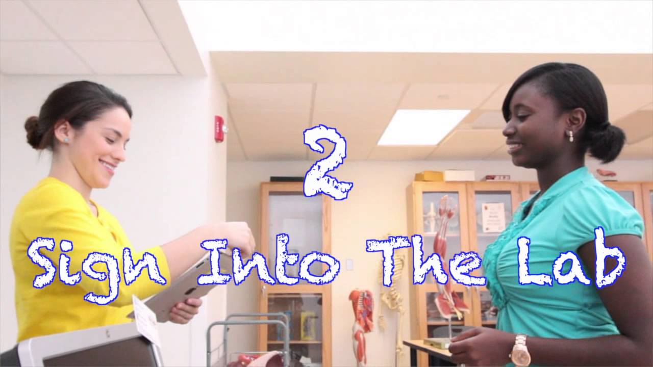 Anatomy and Physiology Lab Help and Support - YouTube