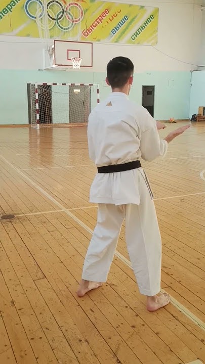 Seisan kata 十三 (セ ー サ ン) / Ilnar 2nd Dan Uechi ryu Karate do Hozonkai Russia Shibu GilManShin ...