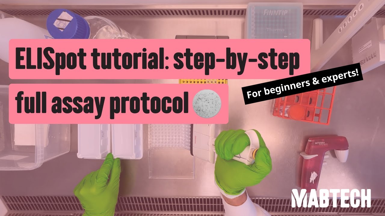 ELISpot tutorial: step-by-step full assay protocol - YouTube