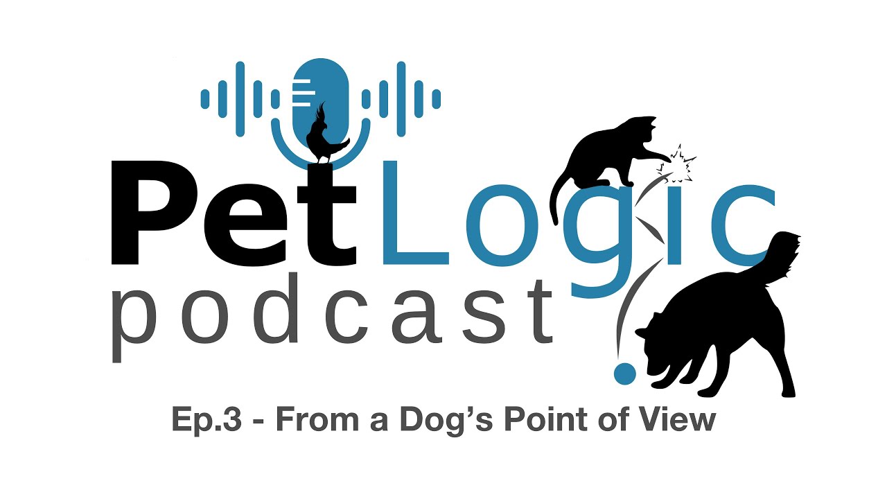 The Pet Logic Podcast: Episode 3 - From a Dog's Point of View - YouTube