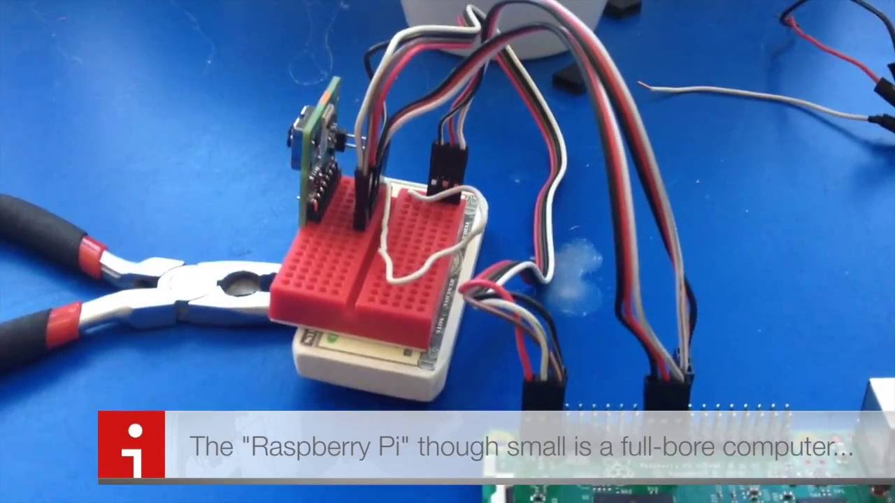 Lepton Breakout Board | Build and Test (Infrared Image of Bird) - YouTube