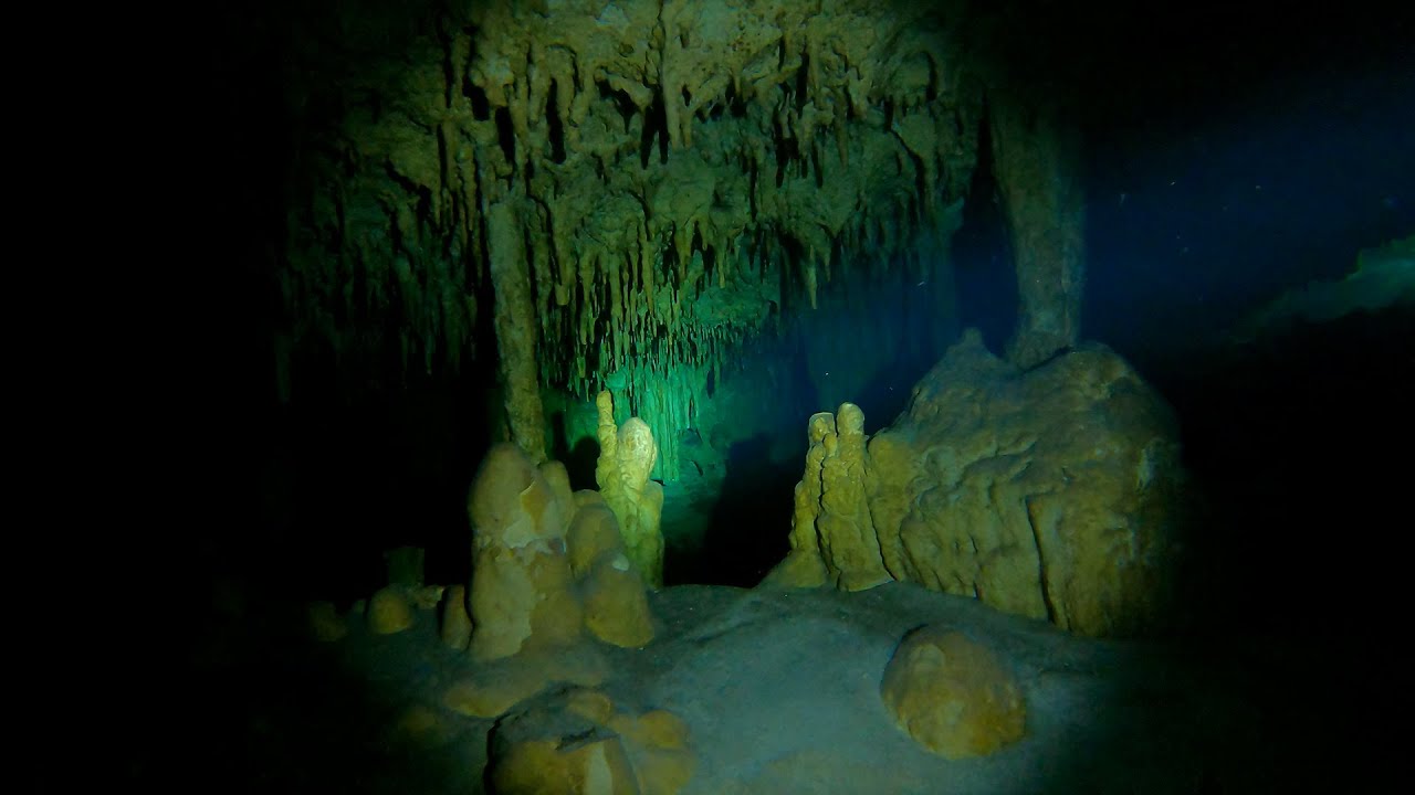 Diving through the Cenote "Dream Gate" in the Tulum, Mexico area - YouTube