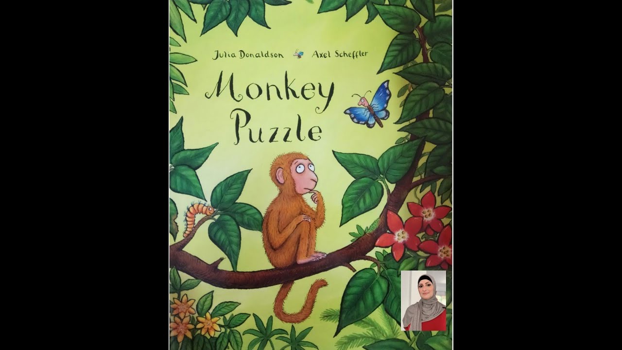 Monkey Puzzle Hidden Animals Can you Guess The Animal Before the ...