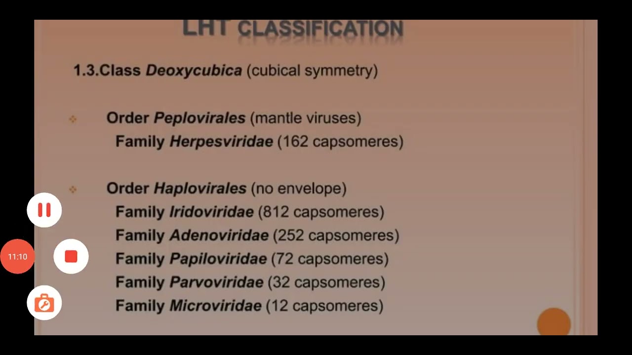 Virus Classification...ICTV.. LHT system.@easy life science - YouTube