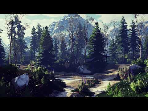 Orman, Rüzgar, Kuşlar ve Böcekler (Rahatlatıcı, Uyku ve Çalışma için Doğa Sesleri) | ASMR Doğa