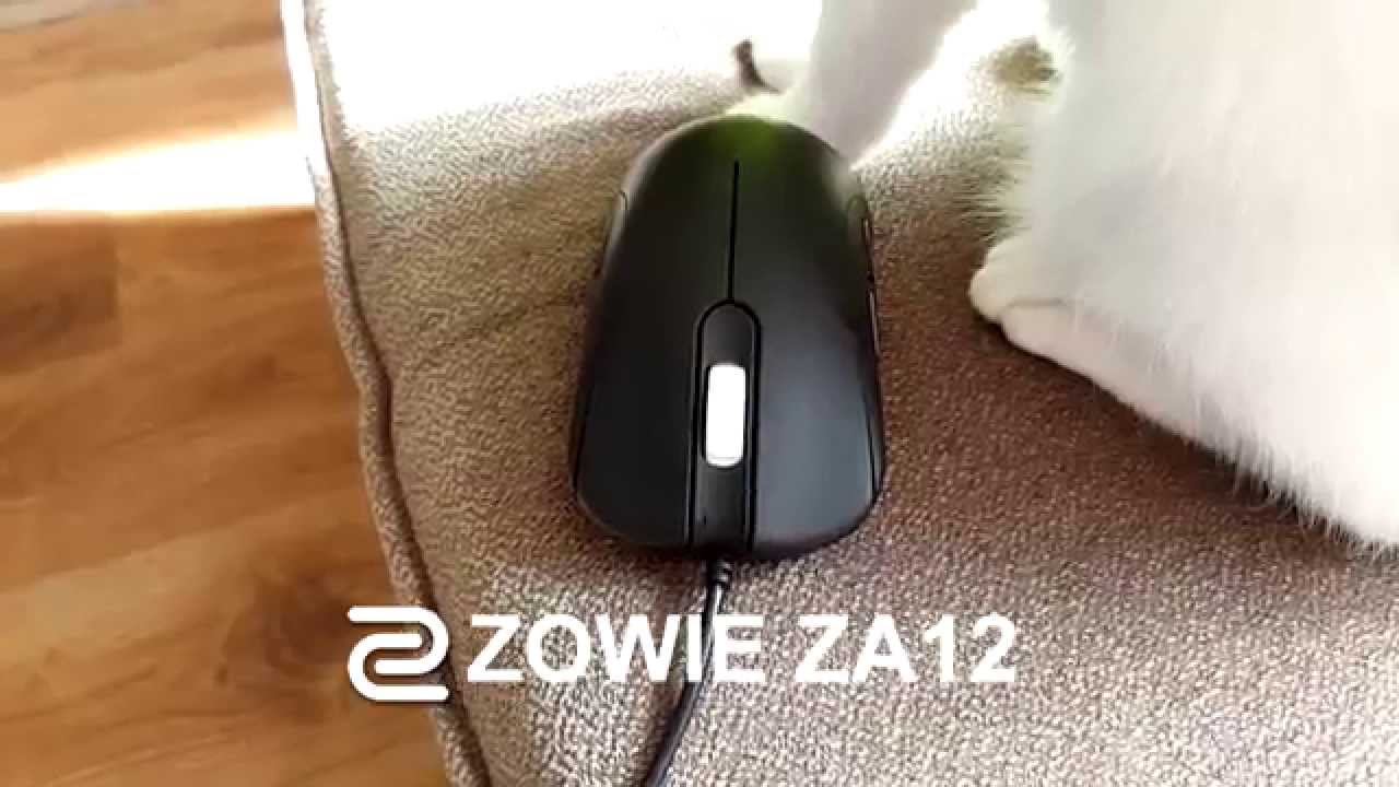 ZOWIE ZA12 REVIEW - YouTube