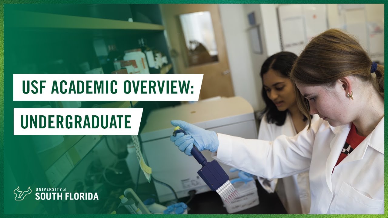 USF Academic Overview: Undergraduate | University of South Florida ...