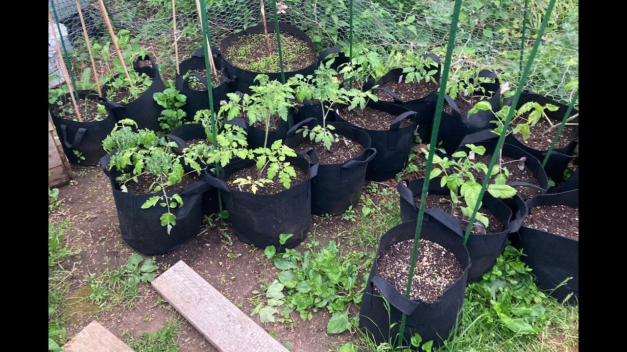 How To Get THE BEST Grow Bag Soil For Your Garden! - YouTube