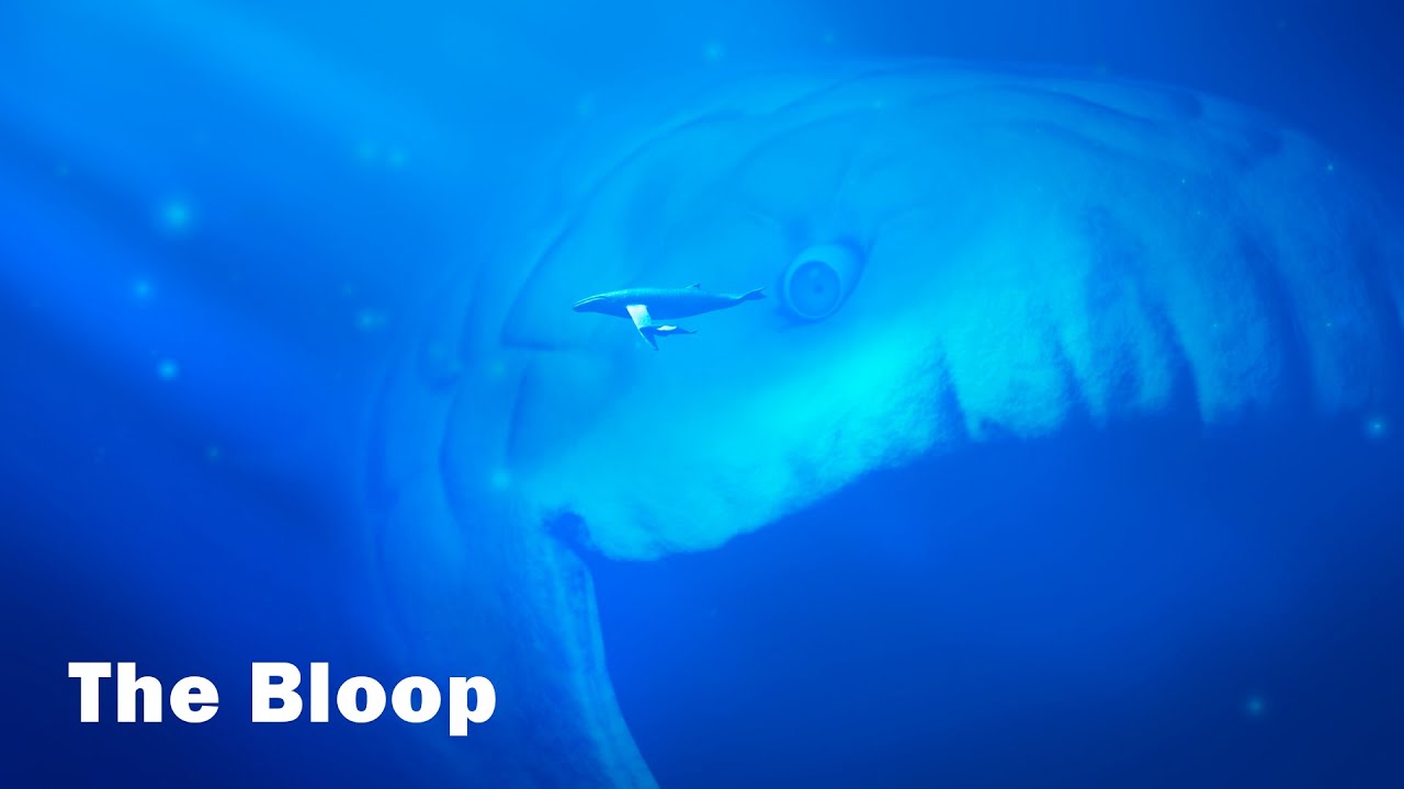 The Bloop no para de crecer - YouTube