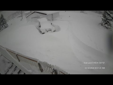 Nova Scotia Snow storm Feb 2 2024 time lapse - YouTube