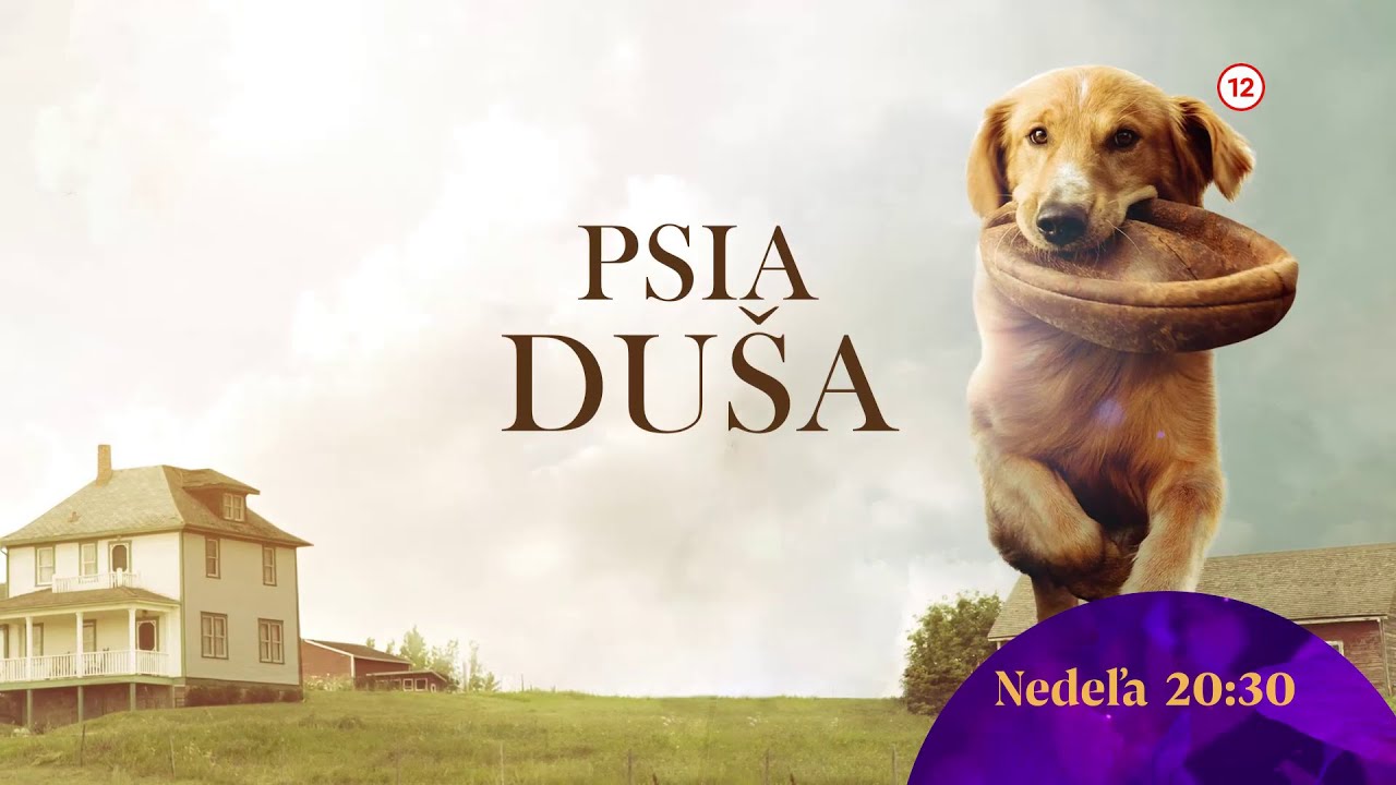 Psia duša - v nedeľu 30. 10. 2022 o 20:30 na Doma - YouTube