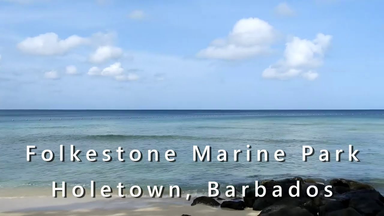 Folkestone Marine Park Barbados - YouTube