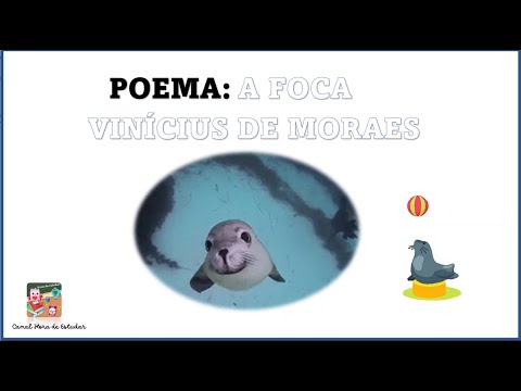 Poema: A Foca de Vinicius de Moraes | Gênero textual | Hora de Estudar | A Foca - YouTube