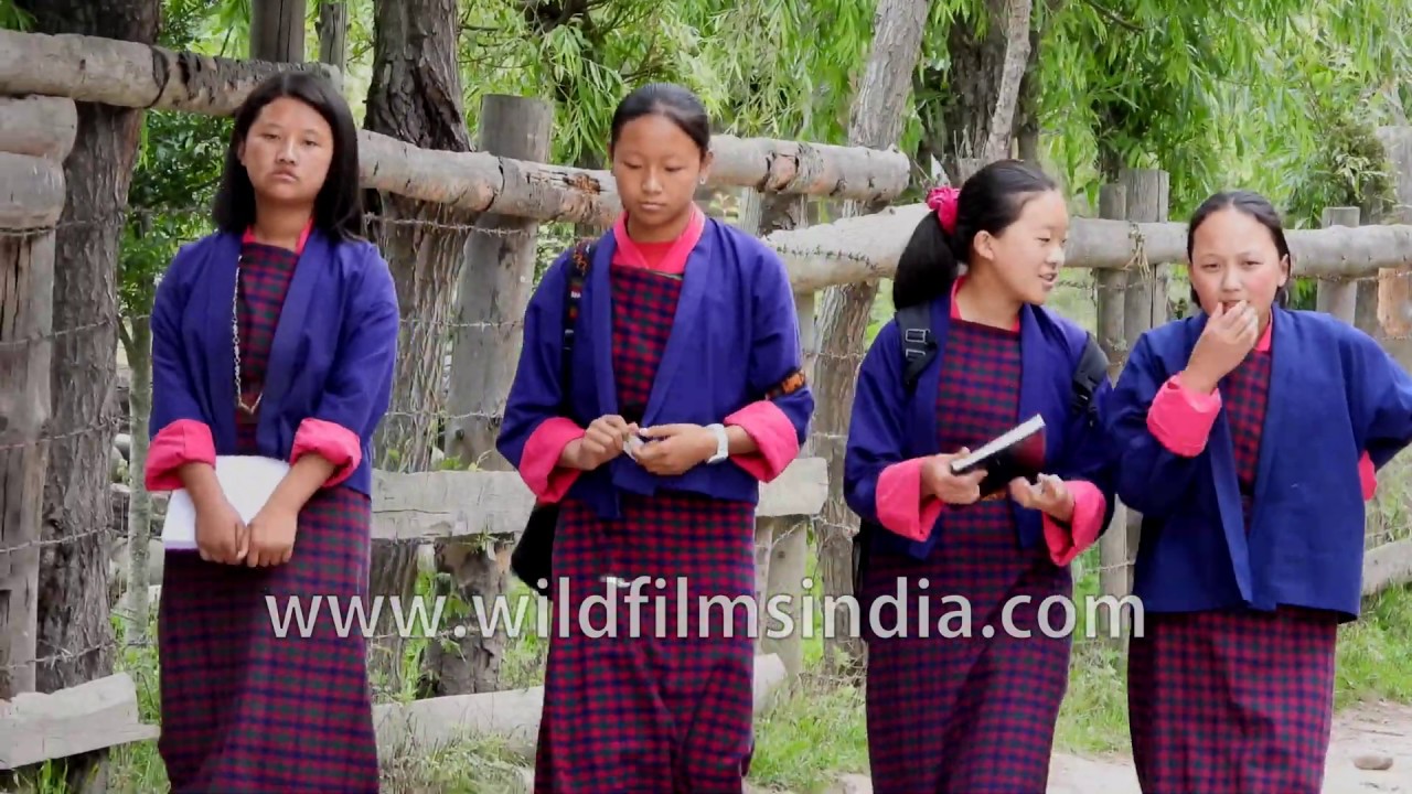 Young Bhutanese students in uniform, walk to school in central Bhutan's ...