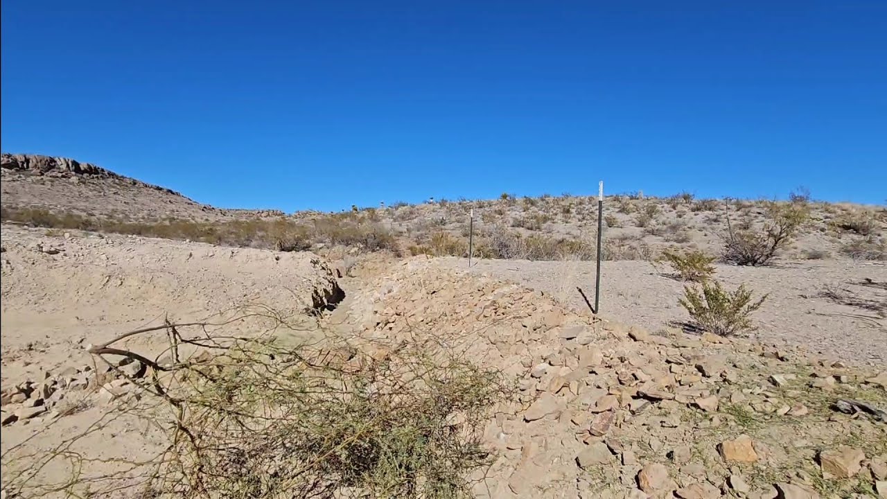 Quail habitat how to build it and experiment with honey mosquite ...