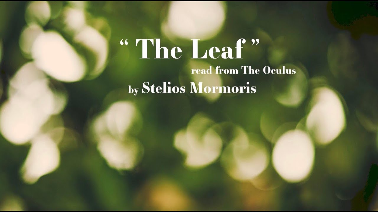 The Leaf by Stelios Mormoris from THE OCULUS - YouTube