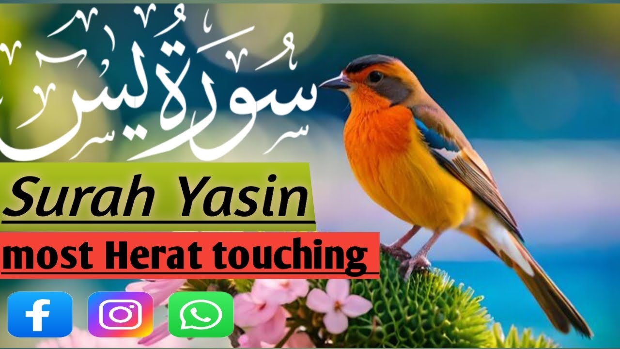 surah yaseen with urdu translation full||surah yasin mishary|| - YouTube