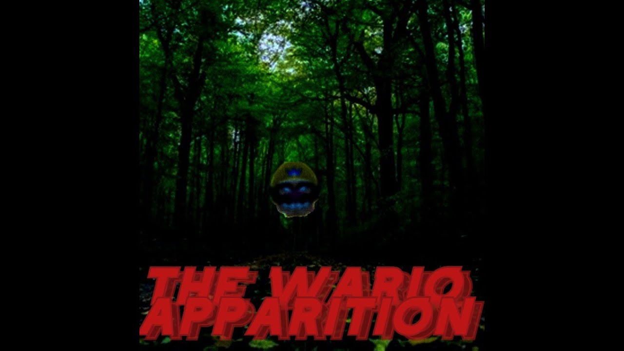you want fun wario show you fun but with sounds - YouTube