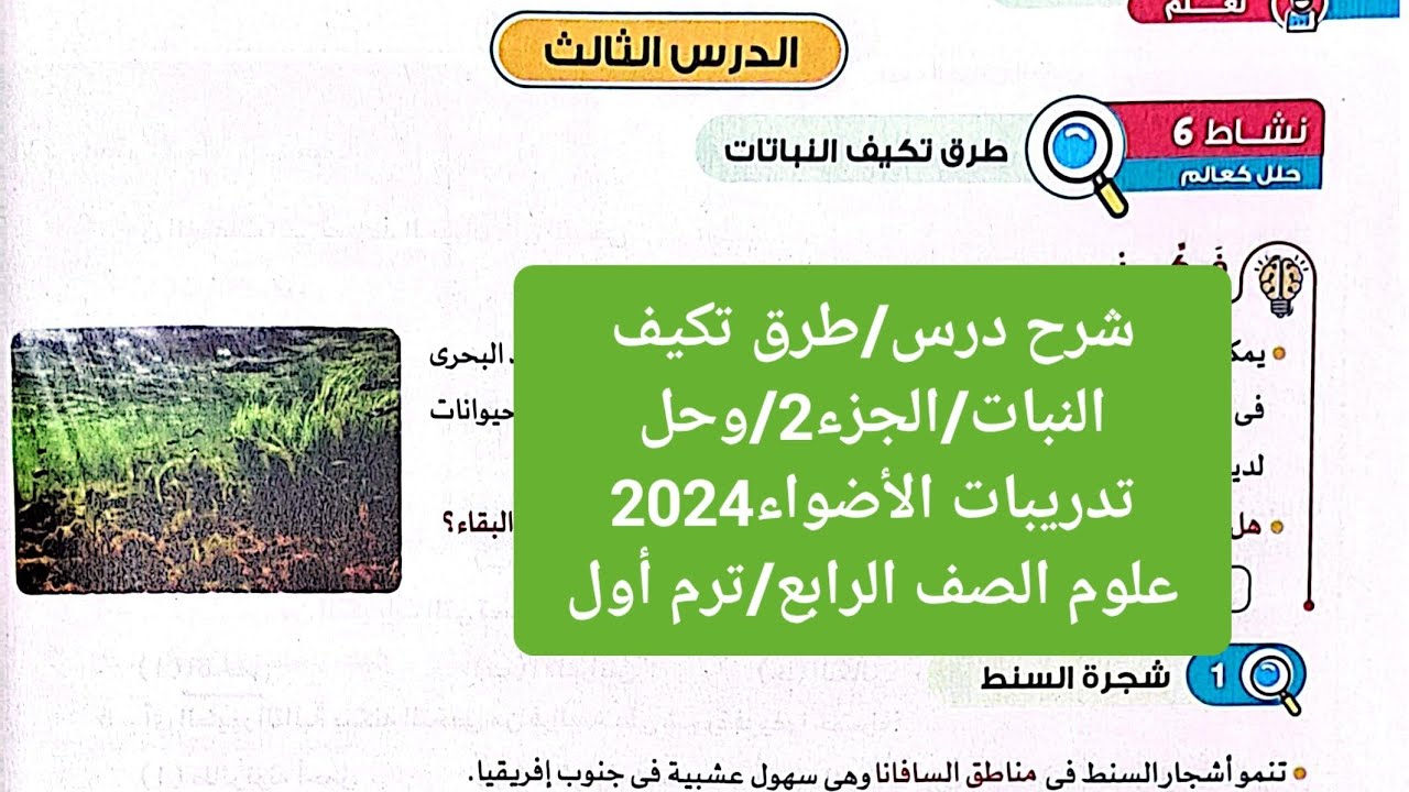 شرح درس طرق تكيف النبات الجزء2 وحل تدريبات الأضواء2024 الصف الرابع ترم