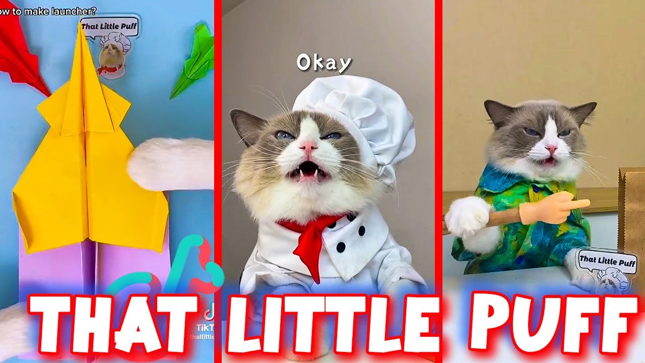 That Little Puff | COMEDY Tiktok Compilation August 2022 - YouTube