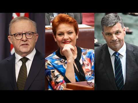 One Nation ‘playing a good game’ against major political parties