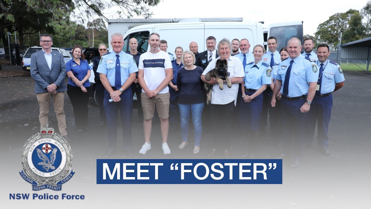Meet "Foster" - NSW Police Force - YouTube