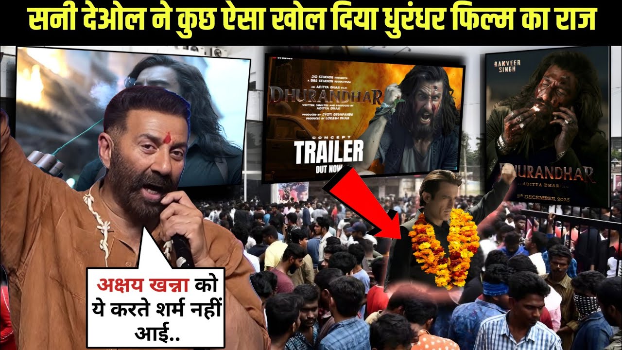 Sunny Deol angry review || Dhurandhar film Box Office Collection report ...