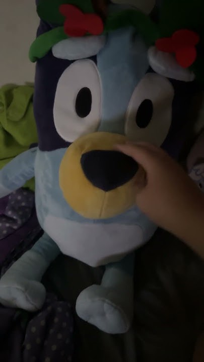 Look at the size of this bluey stuffed toy - YouTube