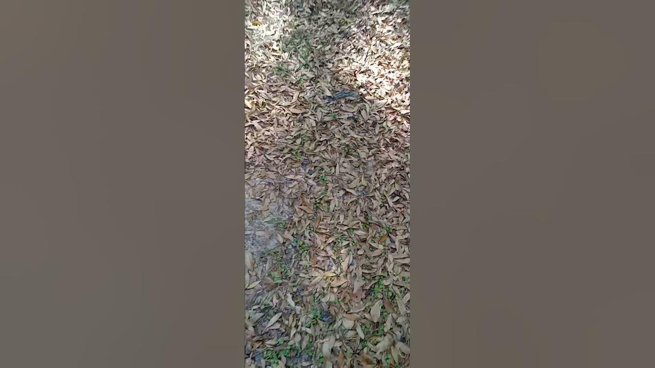 Respawning in 10 seconds - YouTube