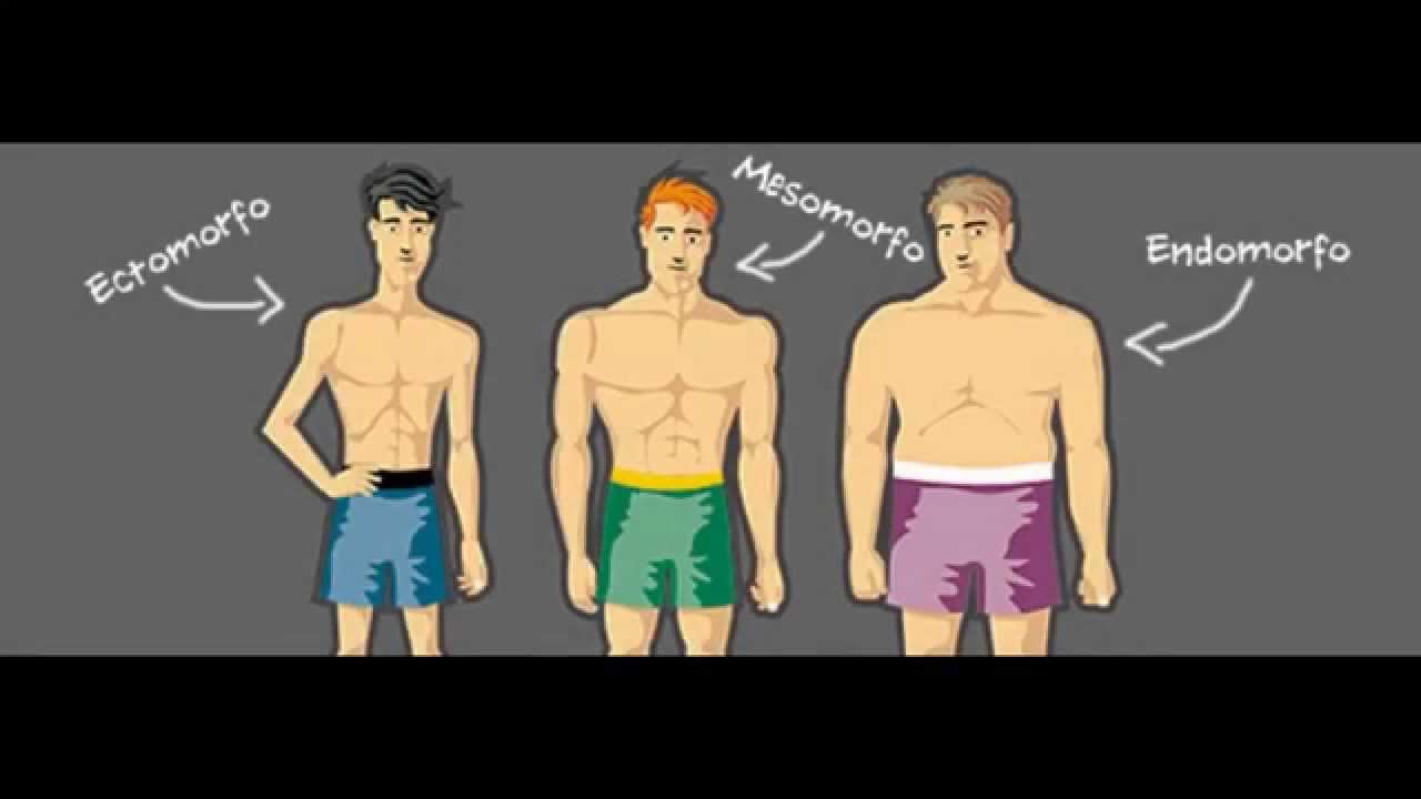como saber mi somatotipo (endomorfo-mesomorfo-hectomorfo) - YouTube