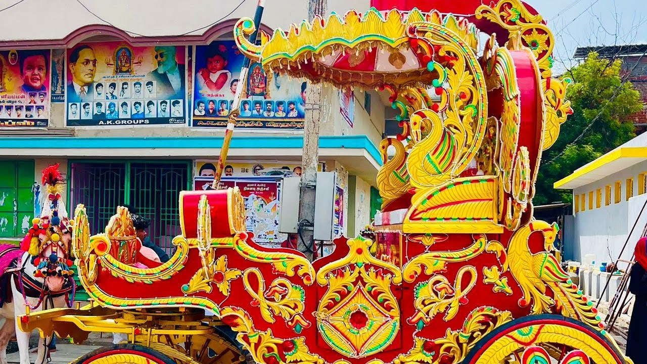 🎊VSM HORSE🥰CALL: 8940060211💥#vsm #horse #trending#viralvidios # ...