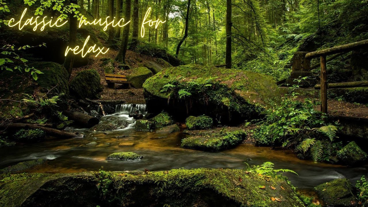 Music for relax, yoga, meditation with fantastic forest views | scenic ...