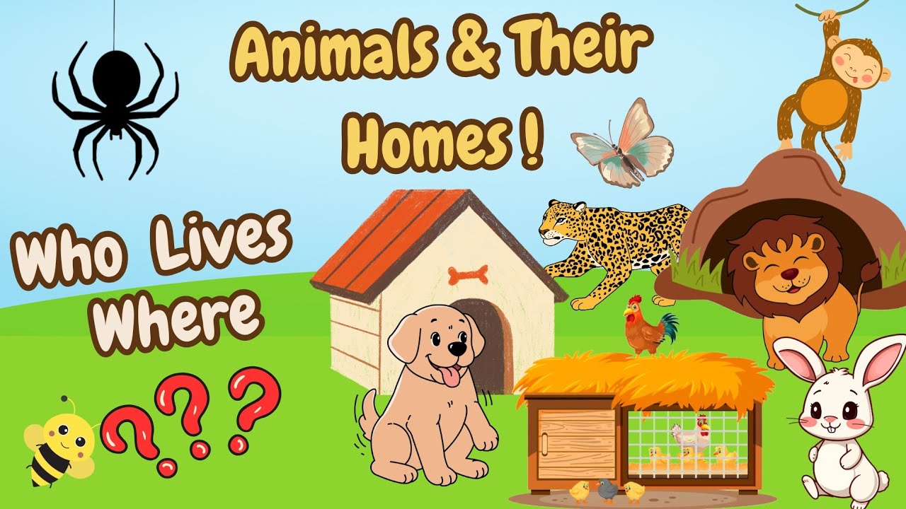 🐕🐄🐒 “Where Do Animals Live? | Learn Animal Homes” #kidslearning - YouTube