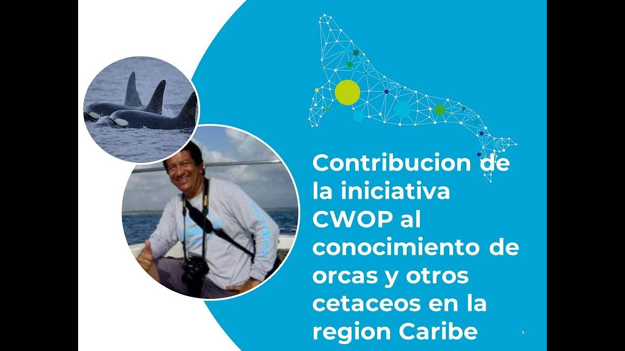 Contribucion de la iniciativa CWOP al conocimiento de orcas y otros ...