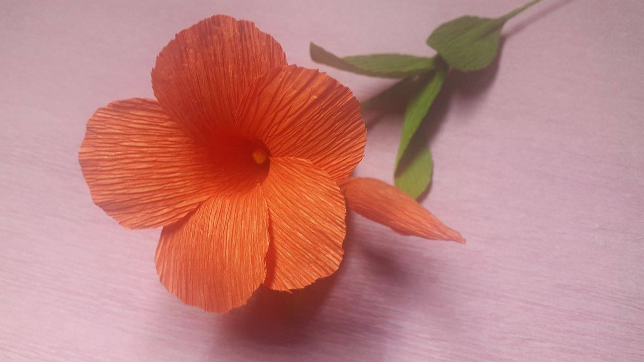How to Make Mandevilla Paper flowers - Flower Making of Crepe Paper ...
