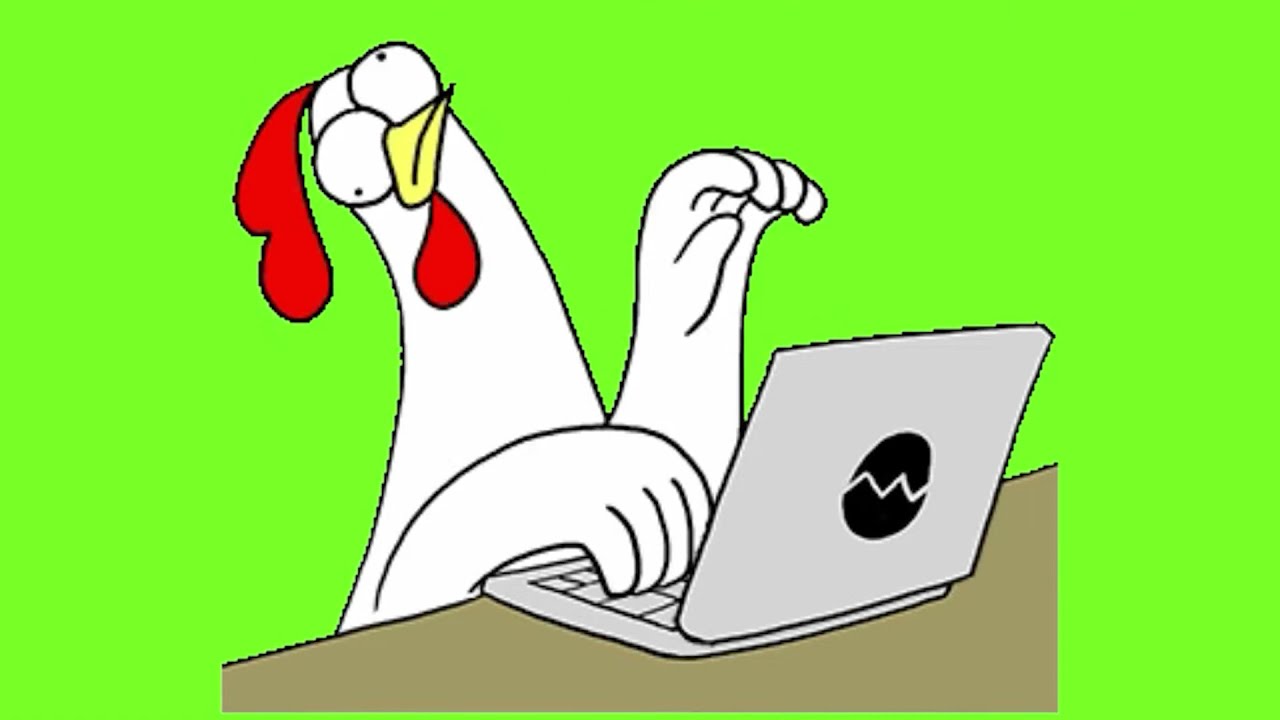 Animation Green Matte | Chicken Green Screen | Chroma Key - YouTube